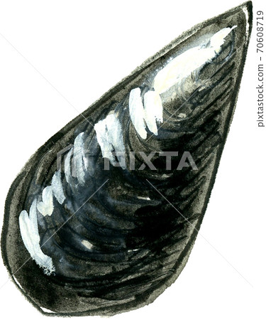 Crow shellfish - Stock Illustration [70608719] - PIXTA