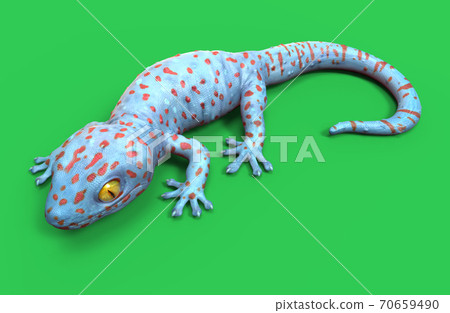 3D rendering illustration colorful gecko sticky... - Stock Illustration ...