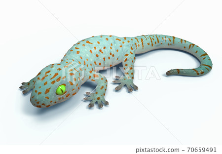 3D rendering illustration colorful gecko sticky... - Stock Illustration ...