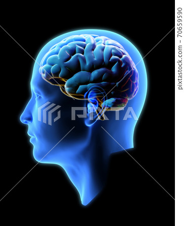 3D human head with brain inside on dark BG - Stock Illustration ...