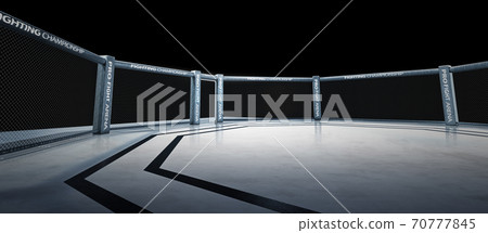 Fighting Championship. Isolated Fight night. 3D... - Stock Illustration ...