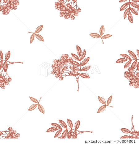 Seamless pattern with hand drawn pastel rowan - Stock Illustration [70804801] - PIXTA