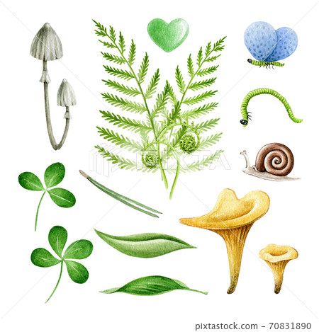 Natural forest objects watercolor illustration set - Stock Illustration ...