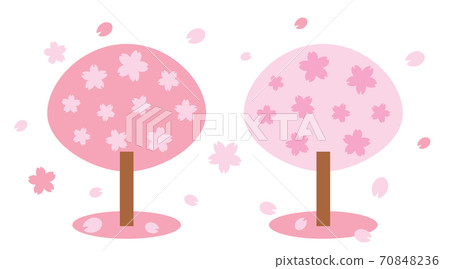 Two cherry trees lined up - Stock Illustration [70848236] - PIXTA