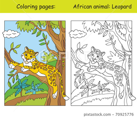 Coloring and color for children education leopard - Stock Illustration ...