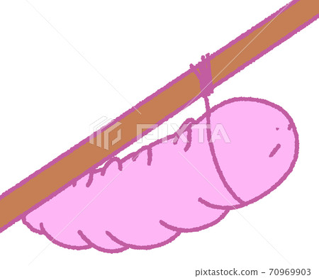 Caterpillar (pink) determined to become a pupa - Stock Illustration ...