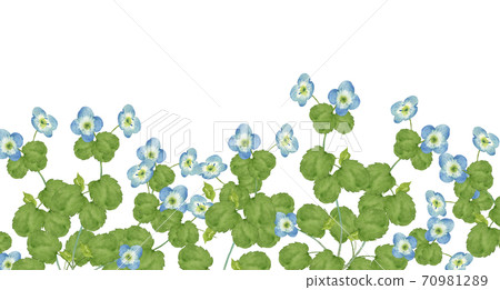 Watercolor painting of Persian speedwell - Stock Illustration [70981289 ...