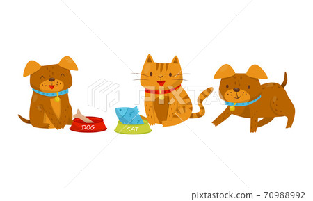 Dog and Cat Feeding Together and Playing Vector... - Stock Illustration ...