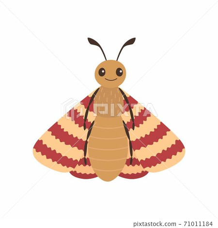 Cartoon moth insect isolated on white background - Stock Illustration ...