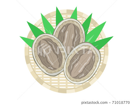 Illustration of abalone on a colander - Stock Illustration [71018770 ...