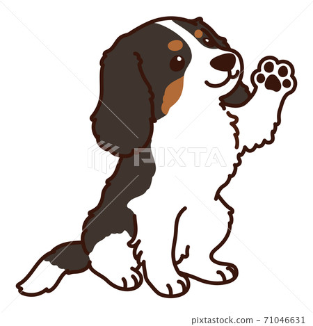 Waving while sitting Cute tri-color Cavalier... - Stock Illustration ...