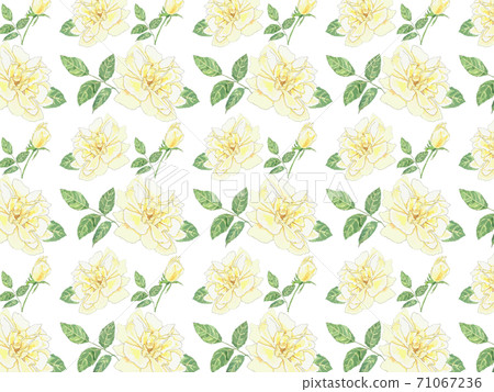 Yellow rose pattern 2 - Stock Illustration [71067236] - PIXTA