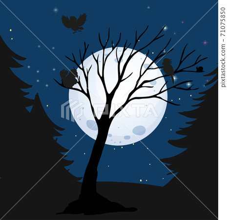 Night scene and shadow from the moon - Stock Illustration [71075850 ...