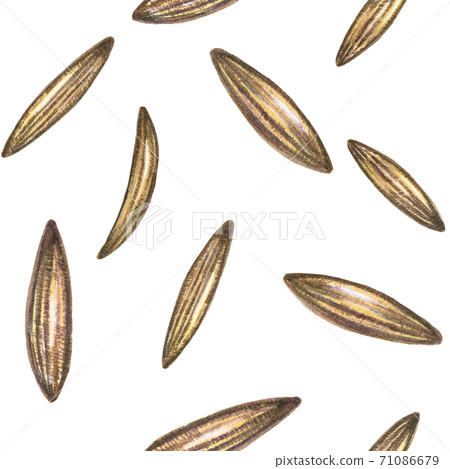 Watercolor seamless pattern with cumin - Stock Illustration [71086679 ...