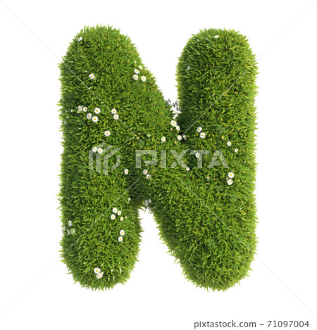 Grass font 3d rendering letter N - Stock Illustration [71097004] - PIXTA