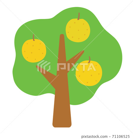 Pear tree icon - Stock Illustration [71106525] - PIXTA