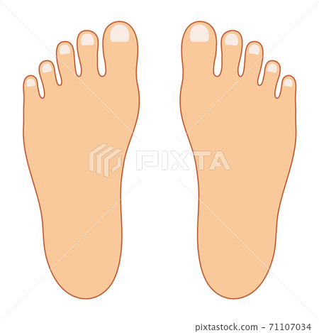 Vector illustration of the instep (with color... - Stock Illustration ...