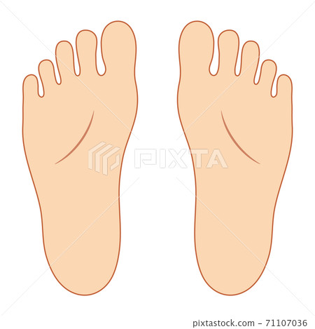 Vector illustration of the sole of the foot... - Stock Illustration ...