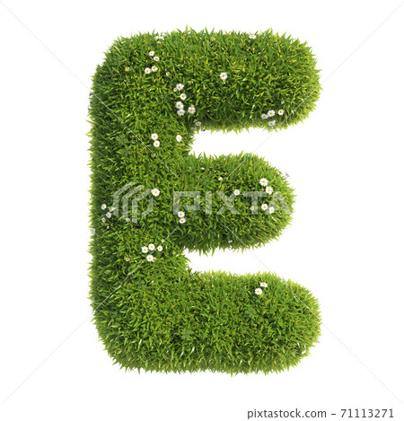Grass font 3d rendering letter E - Stock Illustration [71113271] - PIXTA