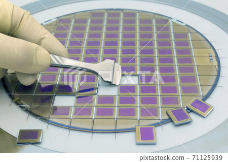 Silicon wafer with microchips, fixed in a...-照片素材（圖片） [71125939] - PIXTA圖庫