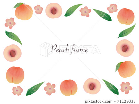Illustration frame of peach fruit, flower, leaf - Stock Illustration ...