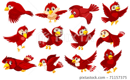 Cute red bird cartoon character - Stock Illustration [71157375] - PIXTA