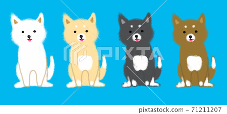 4 dogs - Stock Illustration [71211207] - PIXTA
