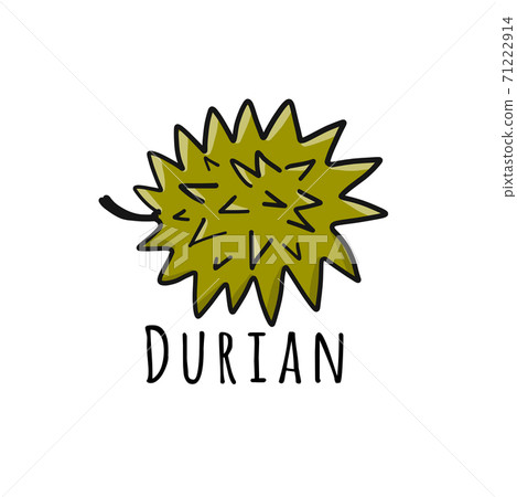 Durian, sketch for your design - Stock Illustration [71222914] - PIXTA
