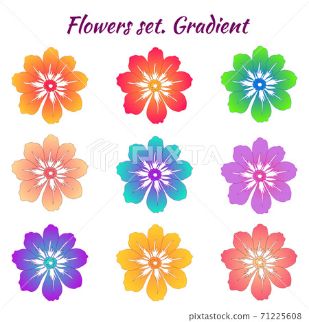 A set of flowers in different gradient colors.... - Stock Illustration ...