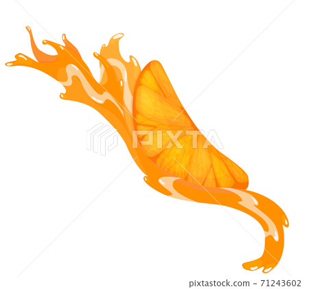 Fresh ripe orange. Piece fruit without leaves.... - Stock Illustration ...