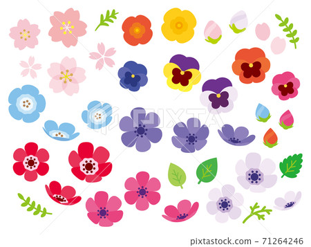 Colorful spring flower set - Stock Illustration [71264246] - PIXTA