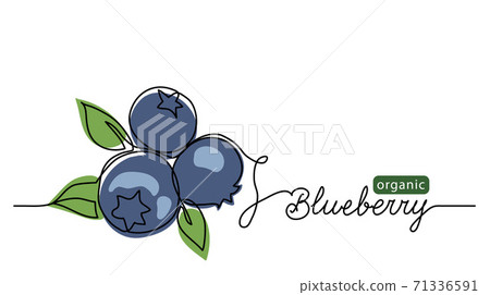Blueberry vector illustration. One line drawing... - Stock Illustration ...