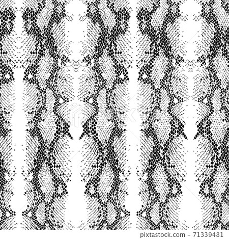 Abstract colorful snake skin ornament. Animal... - Stock Illustration ...