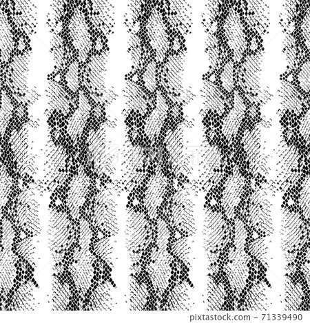 Abstract colorful snake skin ornament. Animal... - Stock Illustration ...