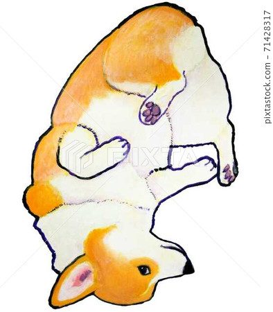 Rolling corgi - Stock Illustration [71428317] - PIXTA