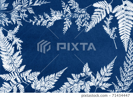 Sun printing, cyanotype process. Floral pattern... - Stock Illustration ...