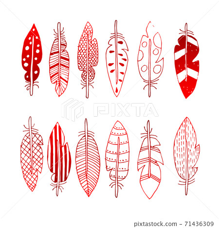 vector feathers with abstract drawings - Stock Illustration [71436309 ...