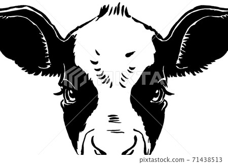 Holstein calf face trimmed up with brush... - Stock Illustration ...