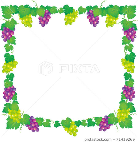 Grape square frame - Stock Illustration [71439269] - PIXTA