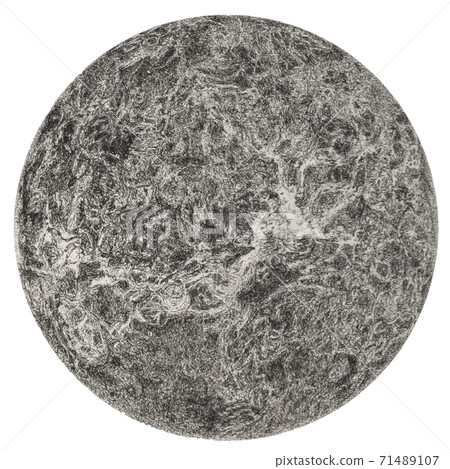 Venus illustration pen drawing - Stock Illustration [71489107] - PIXTA