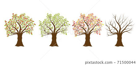Four seasons tree, spring, summer, autum,...-插圖素材 [71500044] - PIXTA圖庫