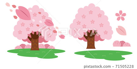 Sakura Saku Spring Season Illustration Material - Stock Illustration ...