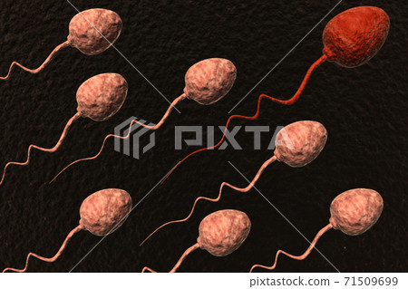 sperm cells competing and red one winning. - Stock Illustration ...