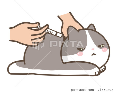 A cat veterinary clinic that gets an injection - Stock Illustration ...