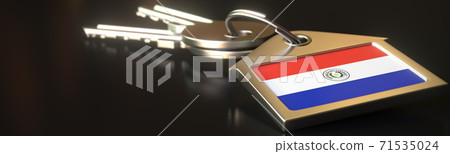 Keys and house keychain with flag of Paraguay.... - Stock Illustration ...