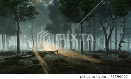 Mysterious forest swamp at misty night or dusk 3D - Stock Illustration ...