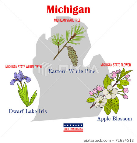 Michigan. Set of USA official state symbols - Stock Illustration ...