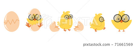 Hatching Egg Cartoon