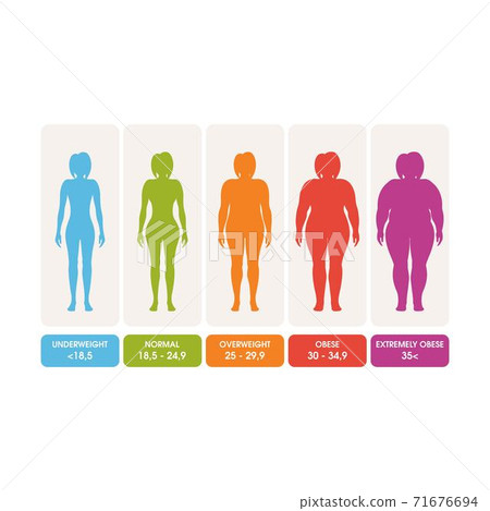 Body mass index vector illustration - Stock Illustration [71676694] - PIXTA