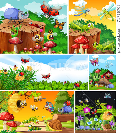 Set of different insects living in the garden... - Stock Illustration ...
